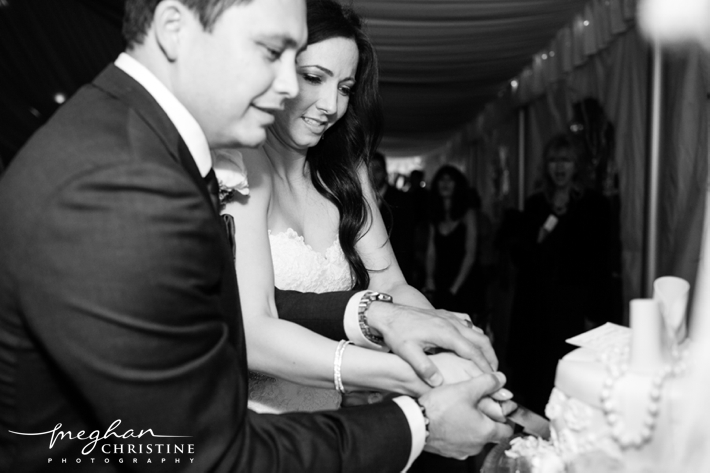 Christopher & Natasha | Twin Oaks Garden Estate Wedding – San Diego, CA ...